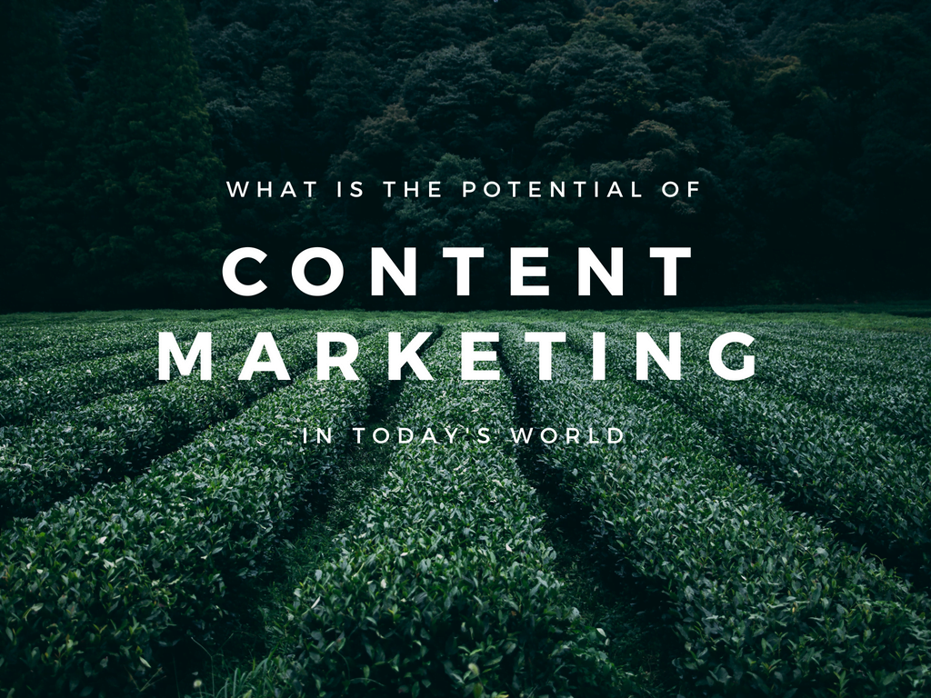 Content Marketing | Software on Perfection | Jain Software